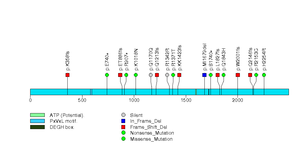 Mutation Analysis (MutSig 2CV v3.1) - Glioblastoma Multiforme (Primary ...
