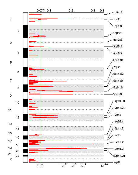 SNP6 Copy number analysis (GISTIC2) - Pancreatic Adenocarcinoma ...