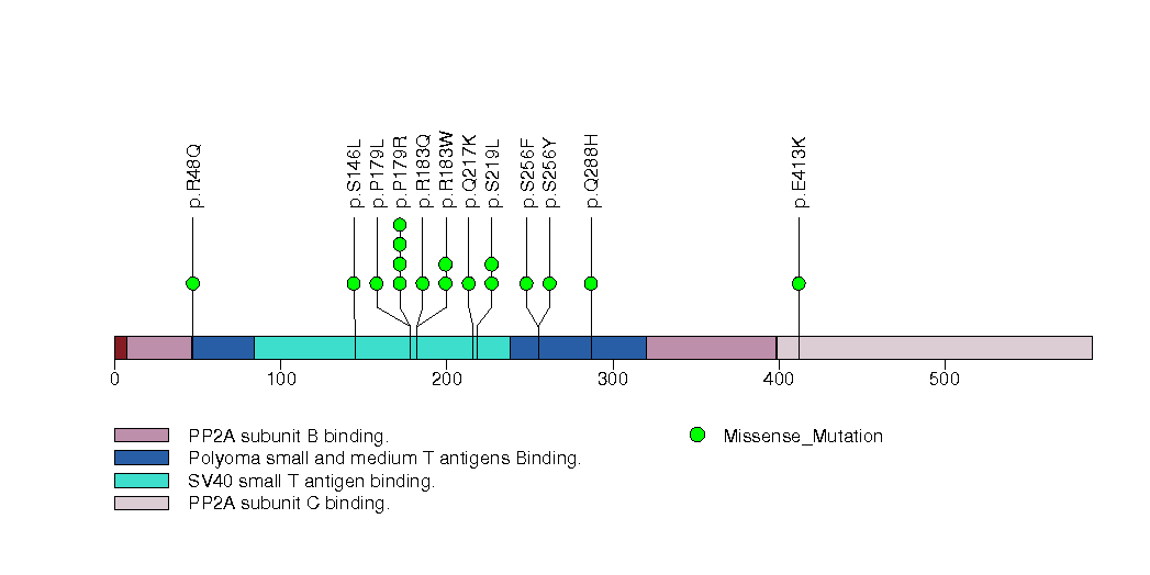 Mutation Analysis (MutSig v2.0) - Uterine Carcinosarcoma (Primary solid ...
