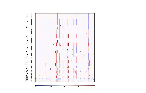 Copy number analysis (GISTIC2) - Thyroid Adenocarcinoma ...